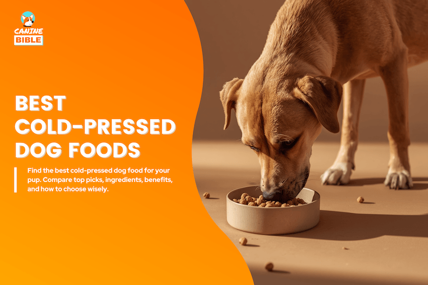 The Best Cold-Pressed Dog Foods of 2026: Vet Approved - Canine Bible