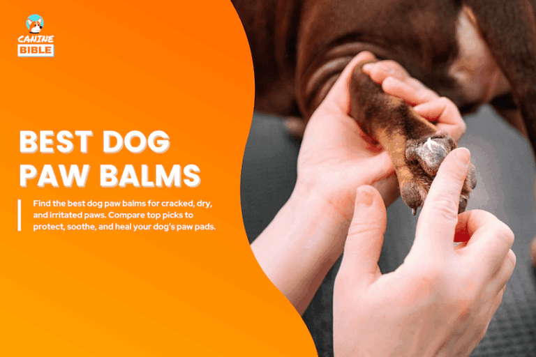 The 15 Best Dog Paw Balms of 2026: Reviewed & Tested - Canine Bible