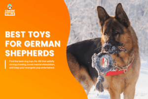 15 Best Dog Toys for German Shepherds 2026: Reviewed & Tested - Canine ...