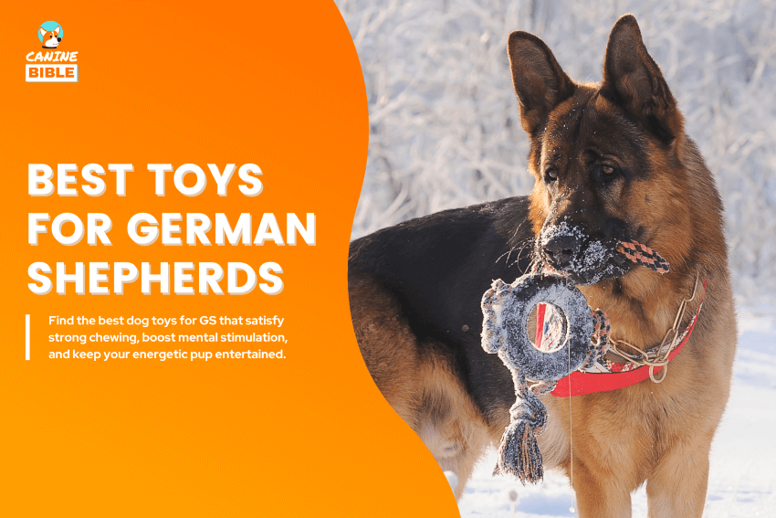 15 Best Dog Toys for German Shepherds 2026: Reviewed & Tested - Canine ...