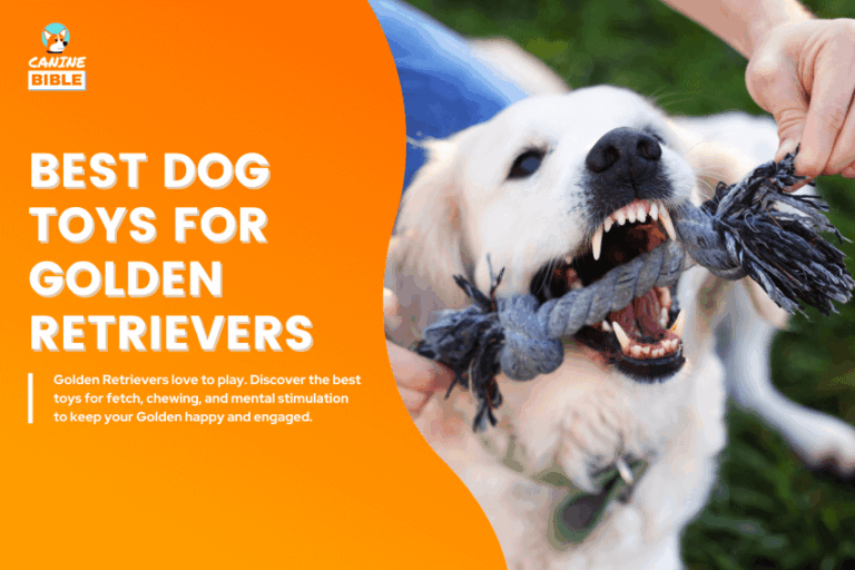 15 Best Dog Toys for Golden Retrievers 2026: Reviewed & Tested - Canine ...