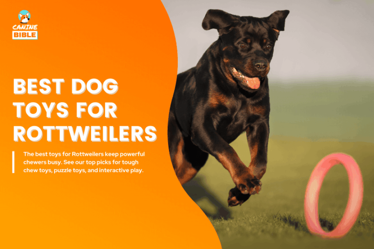 15 Best Dog Toys for Rottweilers 2026: Reviewed & Tested - Canine Bible