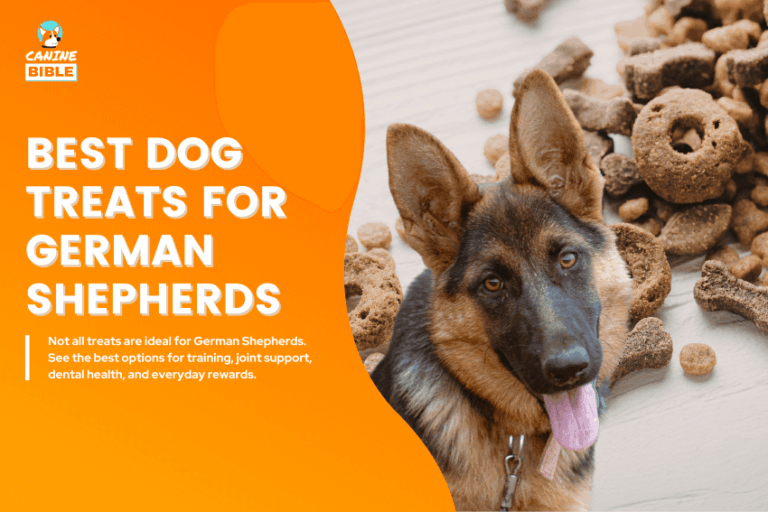 15 Best Dog Treats for German Shepherds 2026: Vet-Approved - Canine Bible