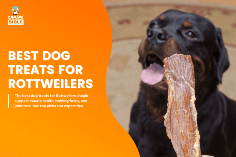 15 Best Dog Treats for Rottweilers 2026: Vet-Approved - Canine Bible