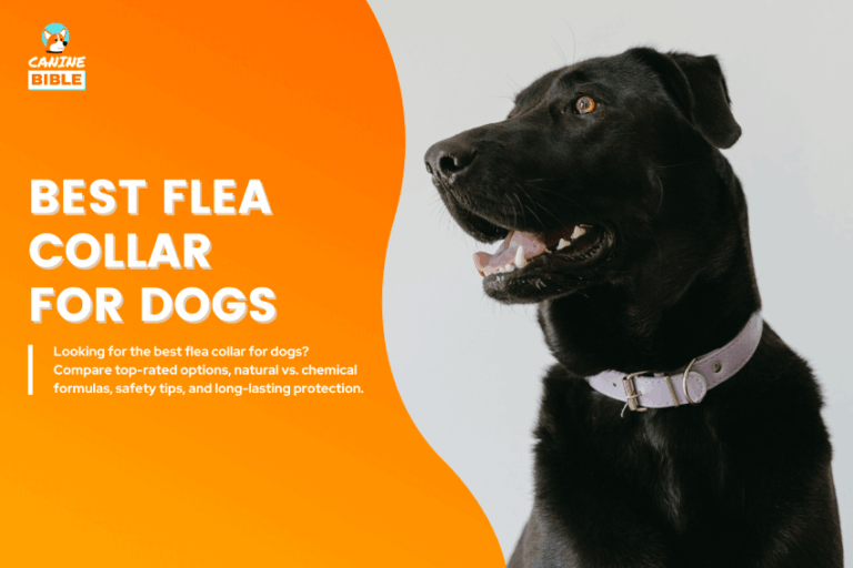 13 Best Flea Collars for Dogs 2026: Reviewed & Tested - Canine Bible