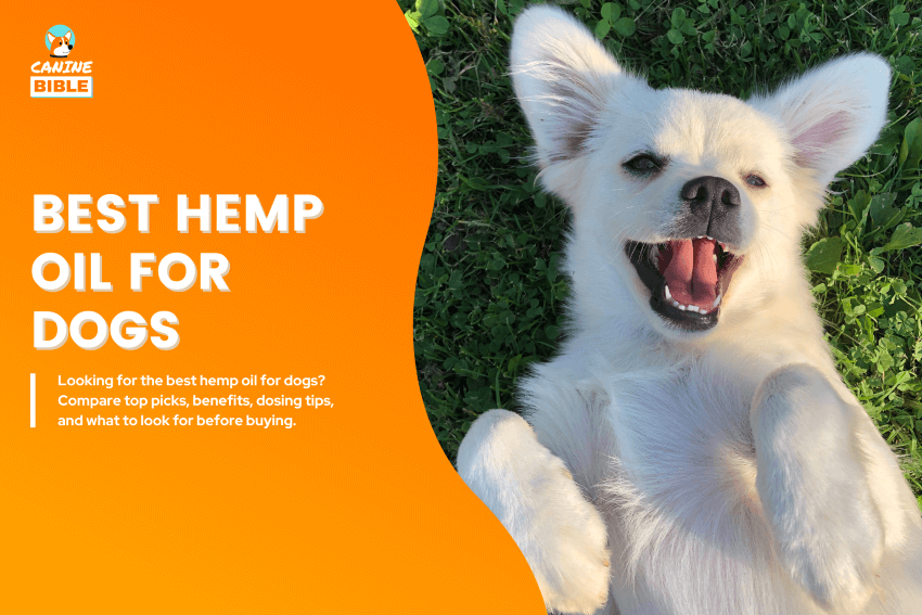 13 Best Hemp Oils for Dogs 2026: Vet-Approved - Canine Bible