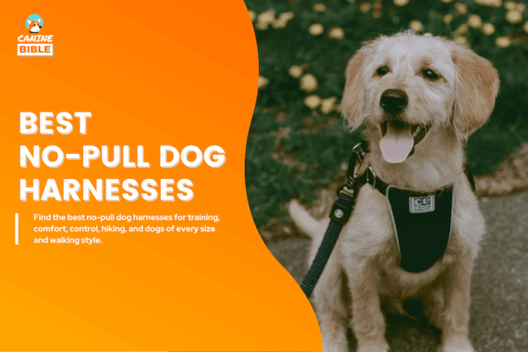 15 Best No-Pull Dog Harnesses 2026: Reviewed & Tested - Canine Bible