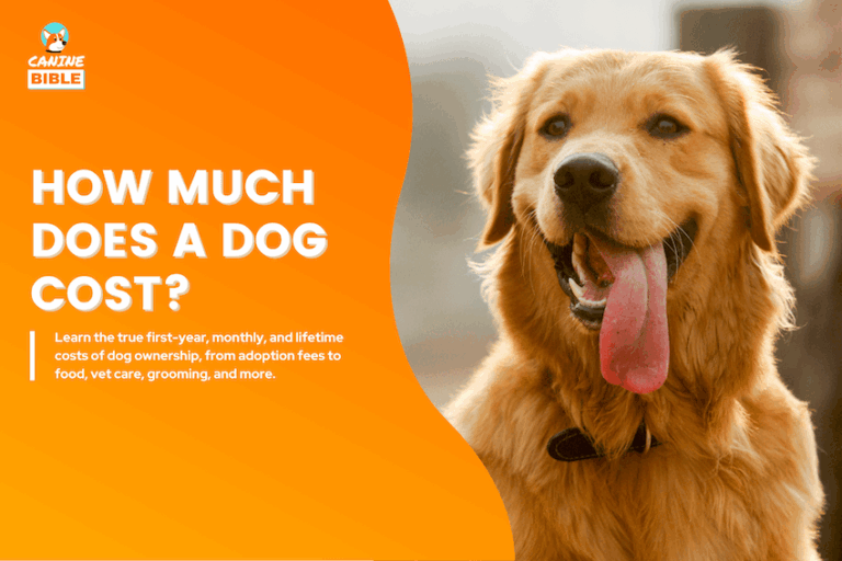 How Much Does A Dog Cost 2026? Price Guide Per Day, Month & Year ...
