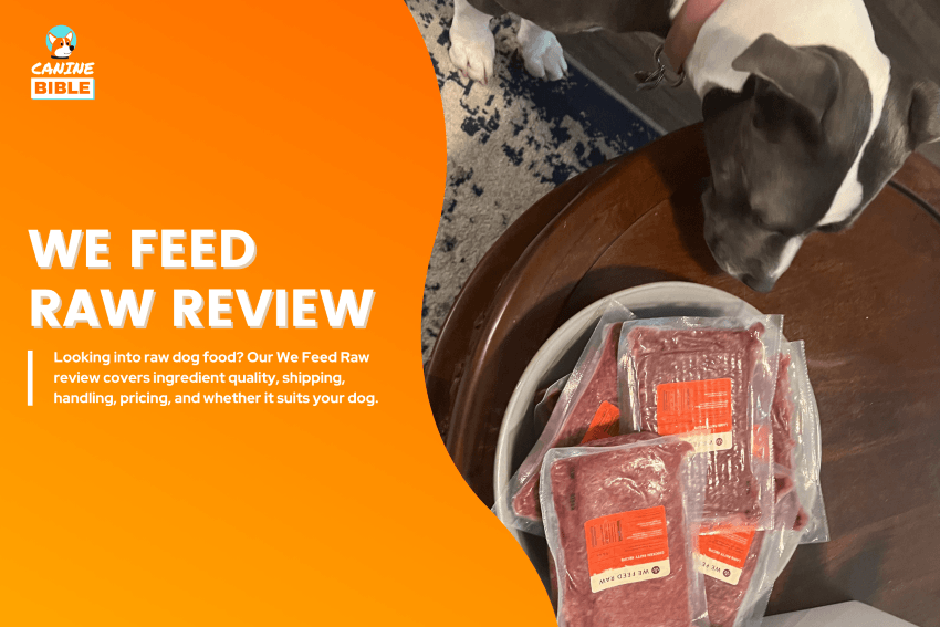 We Feed Raw Dog Food Review 2026: I Tested It, Should You Buy It ...