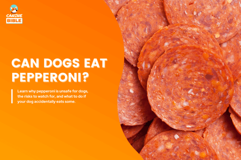 168 Human Foods Dogs Can & Can't Eat (A to Z Complete List) - Canine Bible
