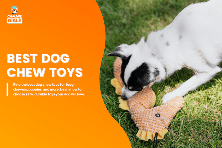 The 15 Best Dog Chew Toys of 2026: Reviewed & Tested - Canine Bible