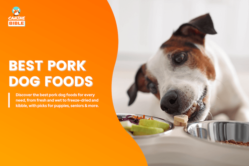 The Best Budget-Friendly Dog Foods 2026: Affordable Picks - Canine Bible