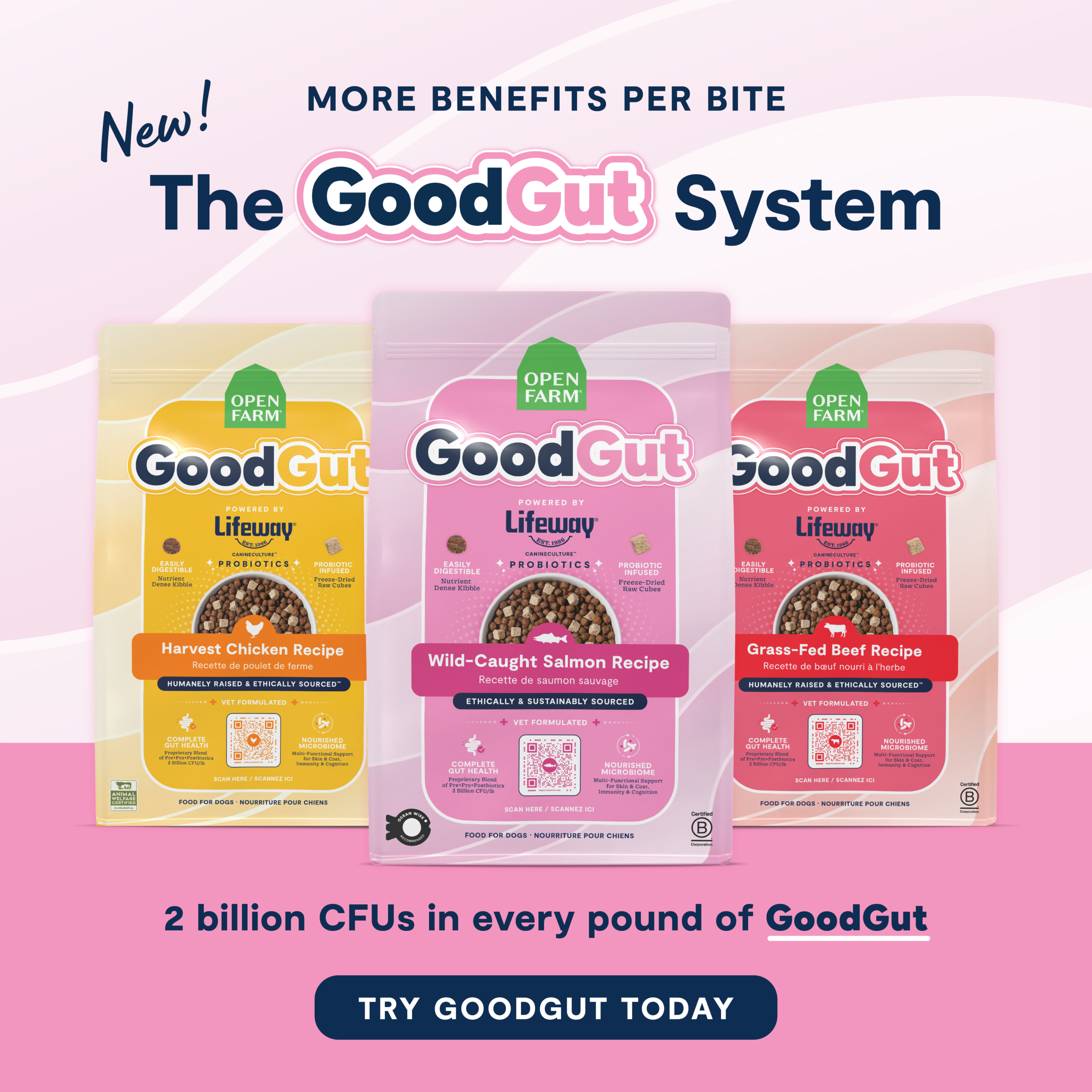 Claritin Dog Dosage Calculator: How Much to Give & Charts - Canine Bible