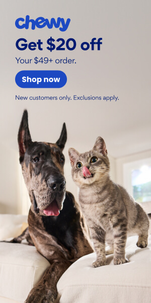 Pet Insurance Comparison Charts 2026: Plans, Costs & Coverage Side-by ...
