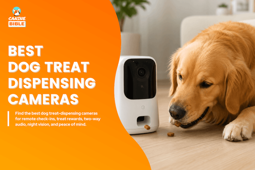 13 Best Dog Treat-Dispensing Cameras 2026: Reviewed & Tested - Canine Bible