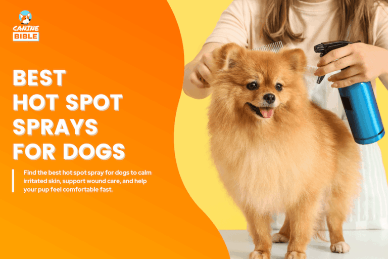 13 Best Hot Spot Sprays for Dogs 2026: Reviewed & Tested - Canine Bible
