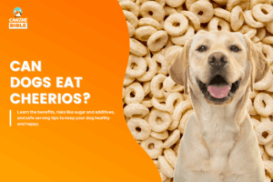 The Complete Guide to Dogs Eating Cheerios: Safe or Toxic? - Canine Bible