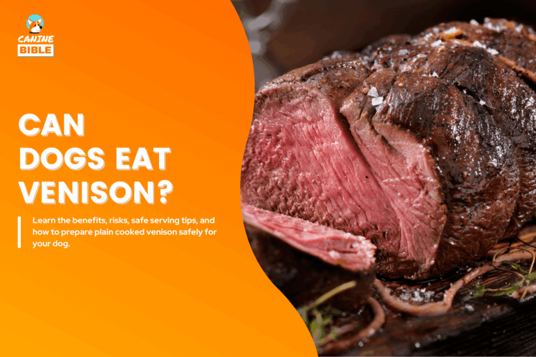 The Guide to Dogs Eating Mushrooms: Deadly & Safe Types - Canine Bible