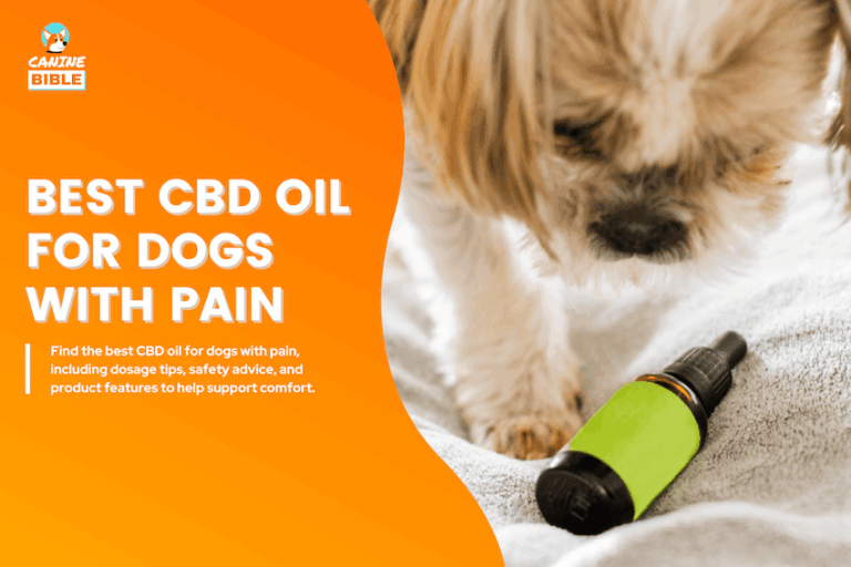 Best CBD Oil for Dogs with Pain 2026: Review & Guide - Canine Bible