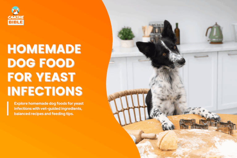 10 Homemade Dog Food Recipes for Yeast Infections: Vet-Approved ...