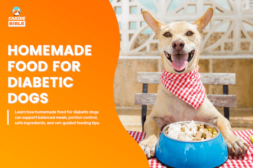 10 Homemade Food Recipes for Diabetic Dogs: Vet-Approved - Canine Bible